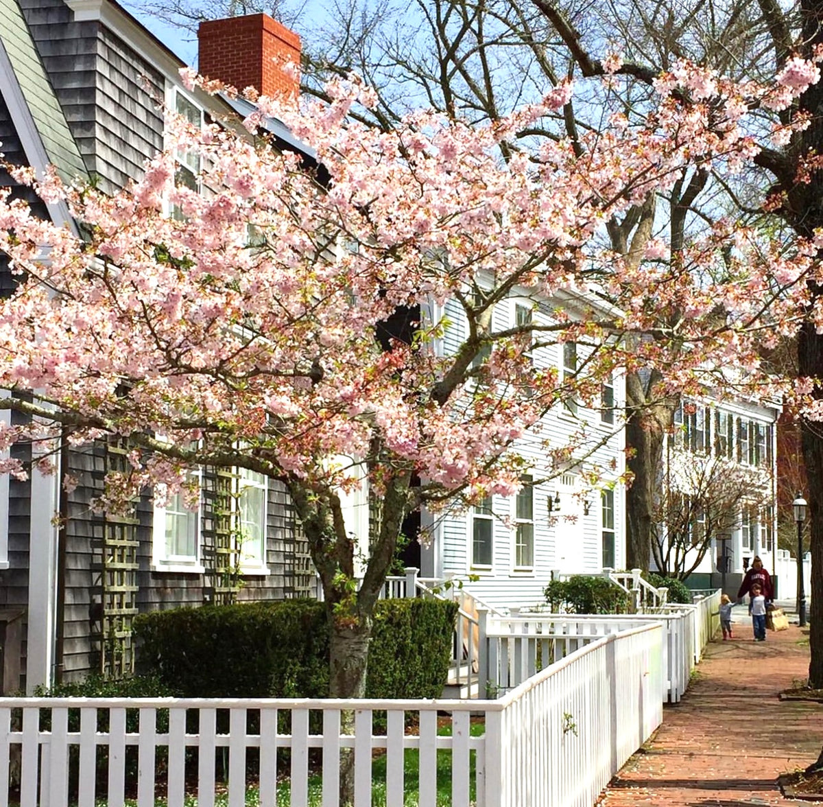 Spring — New England Fine Living